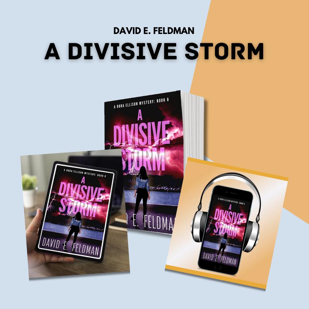 Divisive Storm – David E. Feldman Author